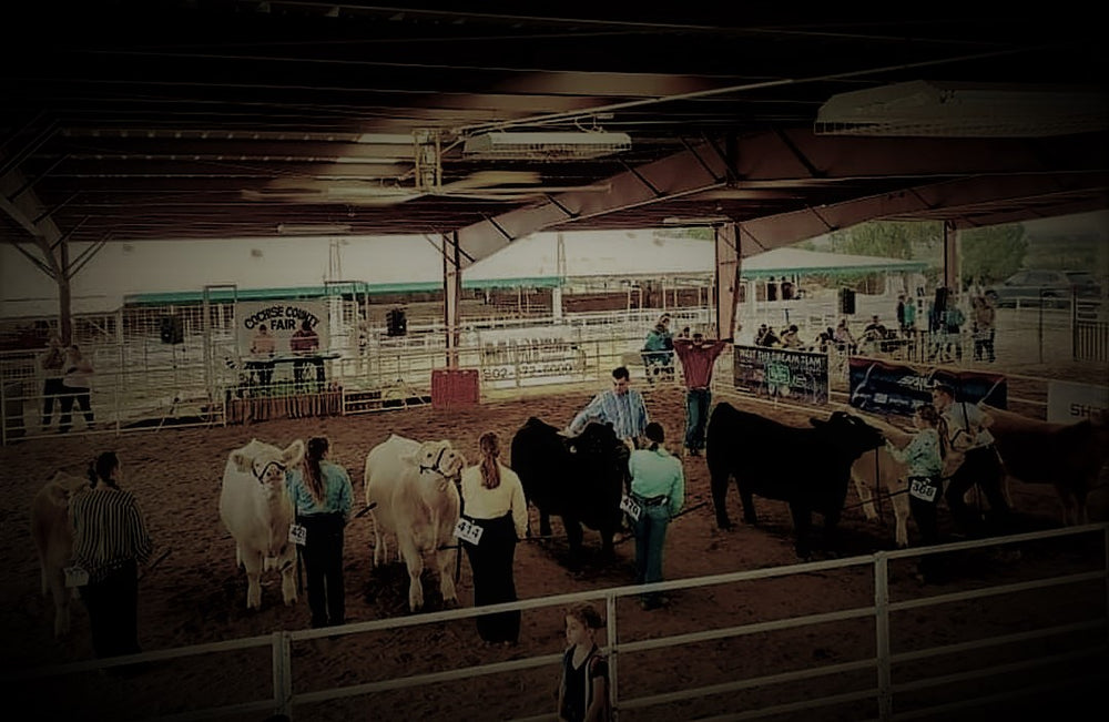 Showcase Blogs | Stock Show Secrets