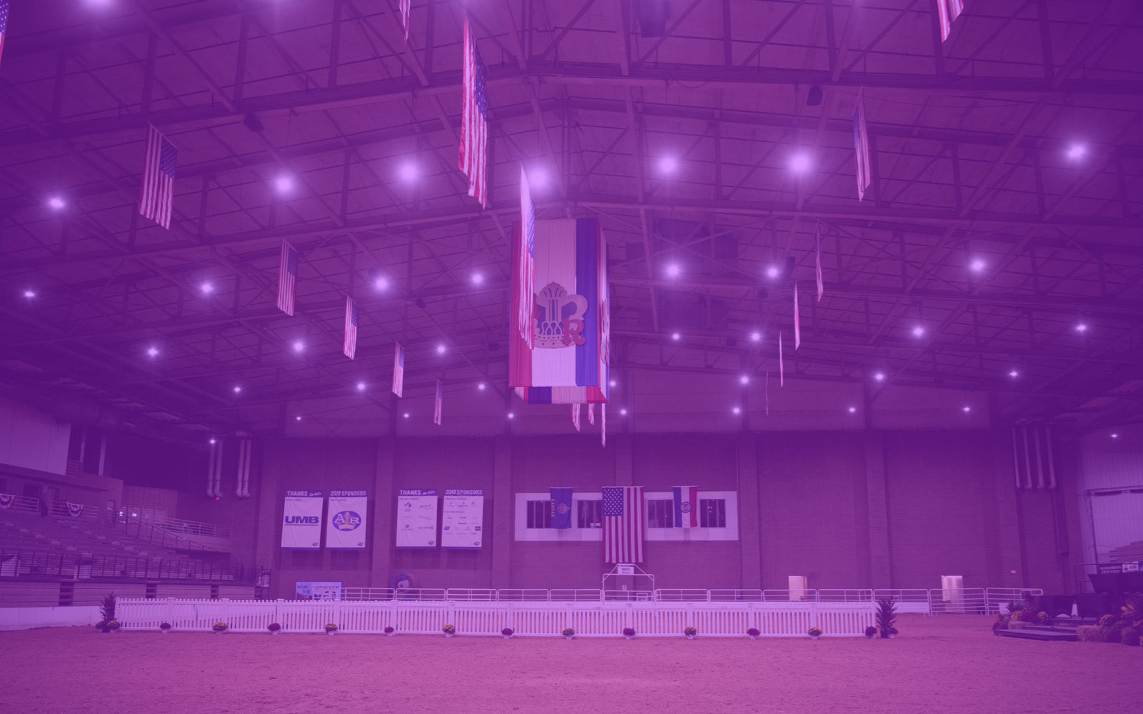 Best Sellers - Stock Show Secrets