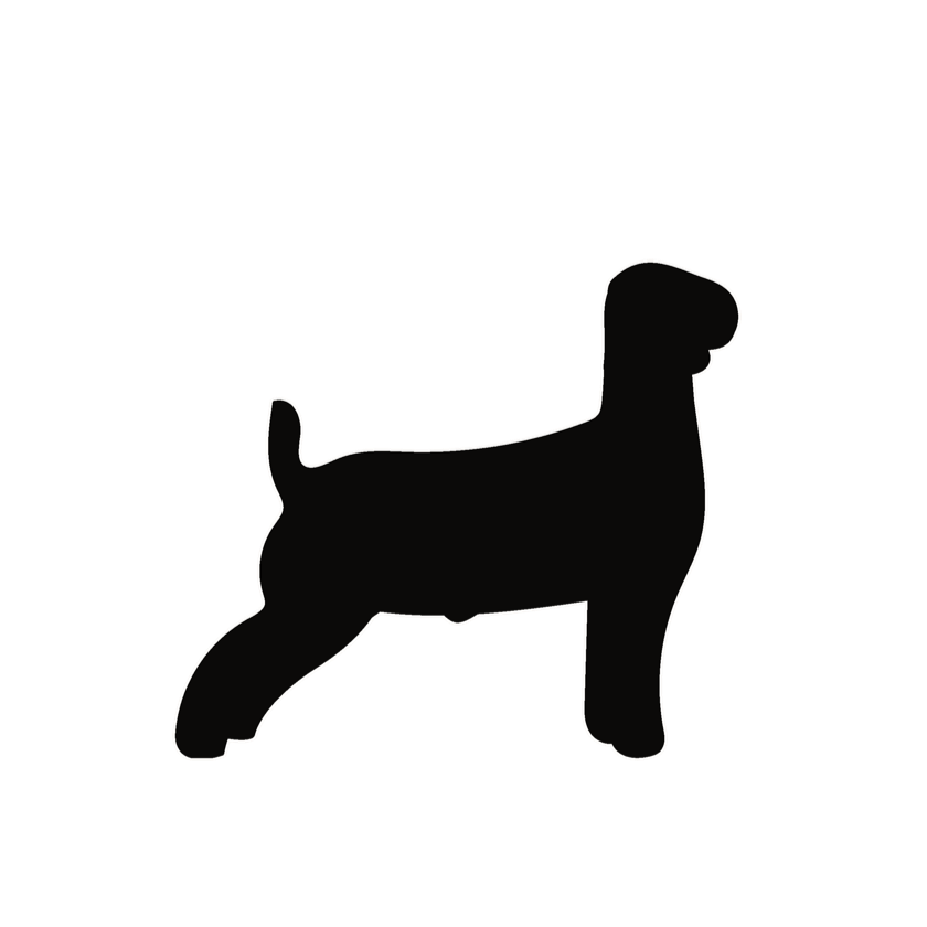 Stock Show Secrets | Supplement Products for Show Animals