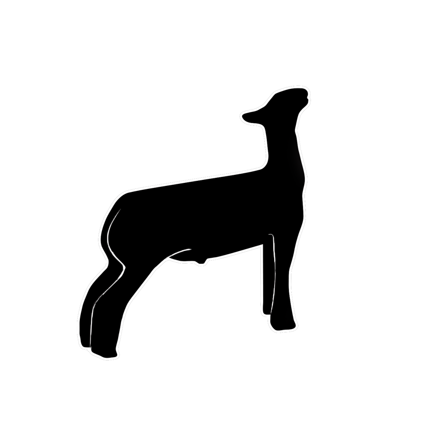 Stock Show Secrets | Supplement Products for Show Animals