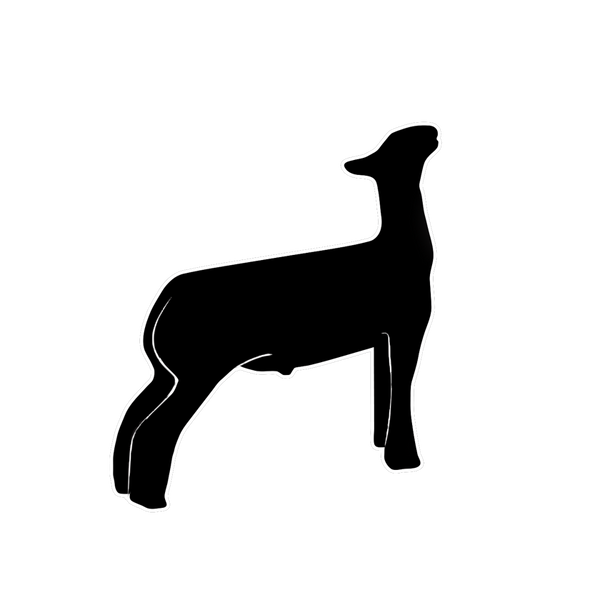 Stock Show Secrets | Supplement Products for Show Animals