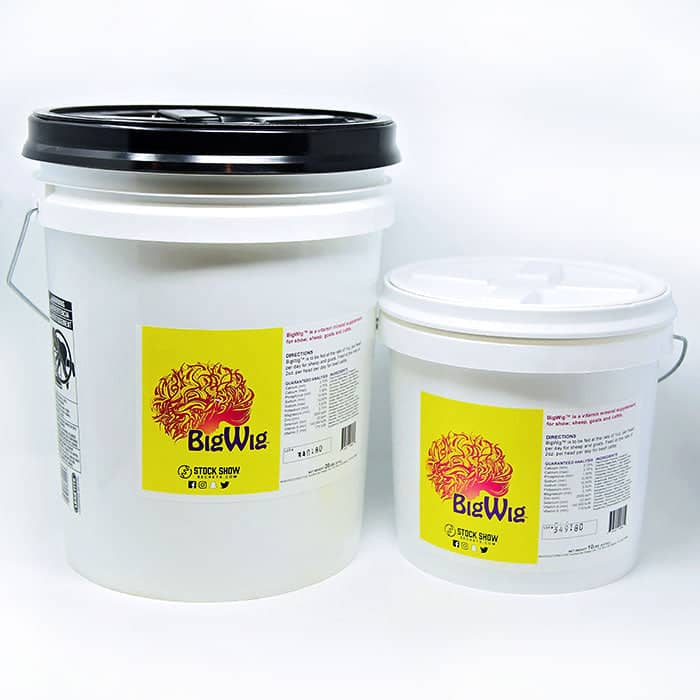 Sheep - Stock Show Secrets