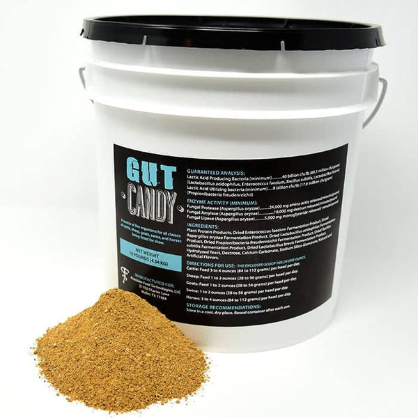 Best Sellers - Stock Show Secrets